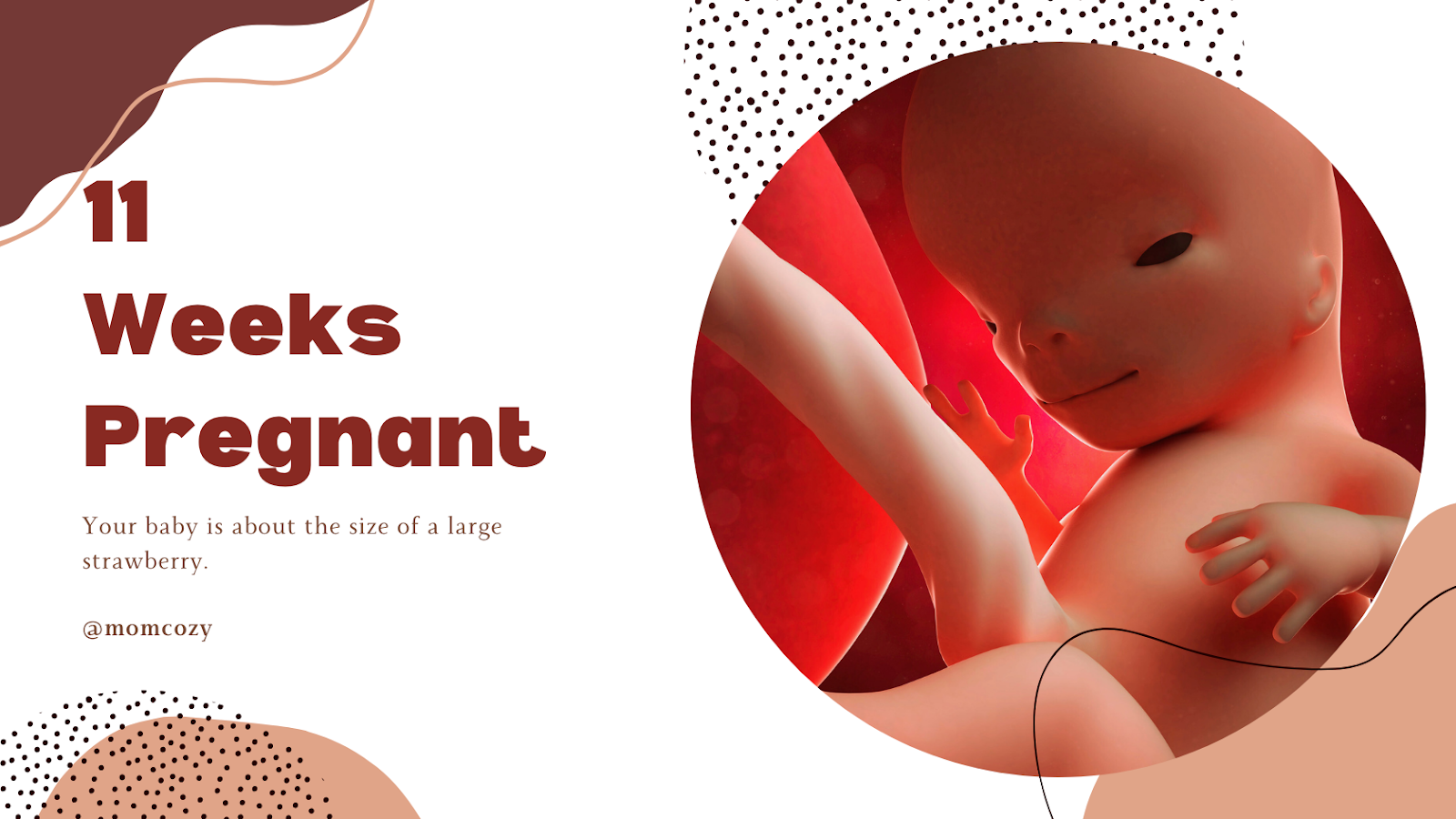 11 Semanas de embarazo