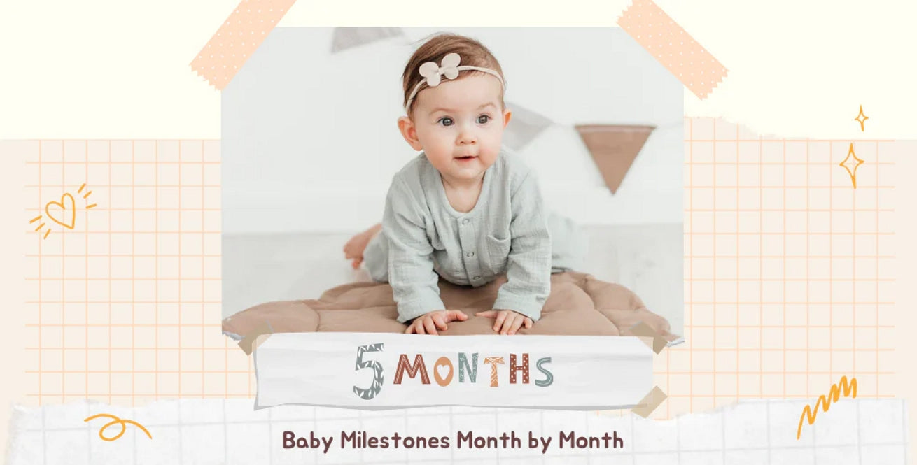 5 Month Old Baby Milestones and Development